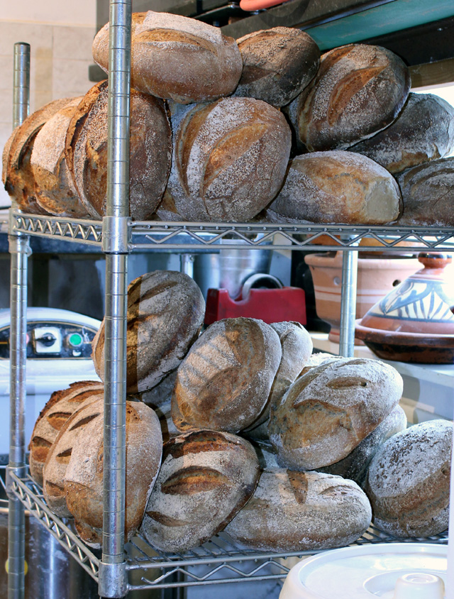 Microbakery Course – The PArtisan Baker