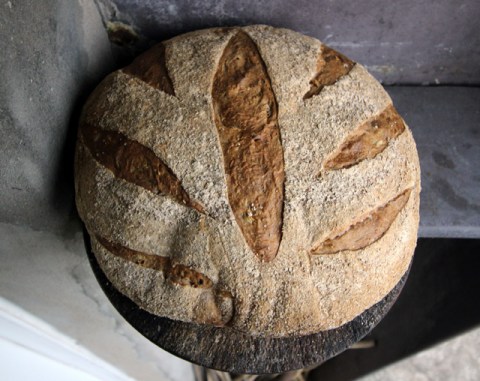 Crusty Potato Bread – The PArtisan Baker