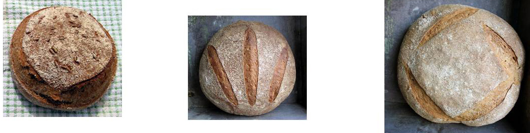 Bread Formulas – The PArtisan Baker
