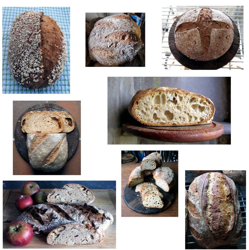 Bread Formulas – The PArtisan Baker